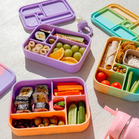 TZWP Bento Lunchbox - Paddle Pop – Prepp'd Kids