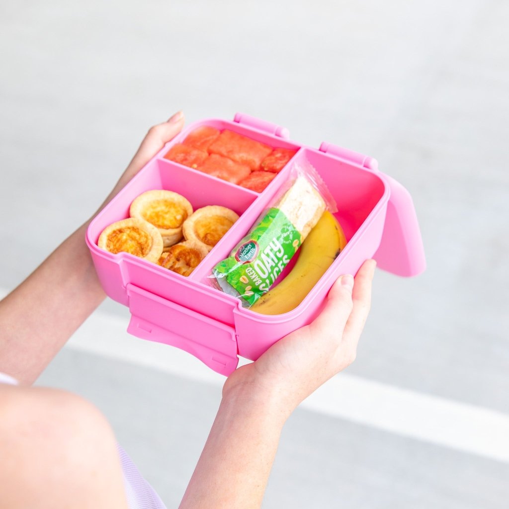 MontiiCo BITE Lunch Box - Floss – Prepp'd Kids