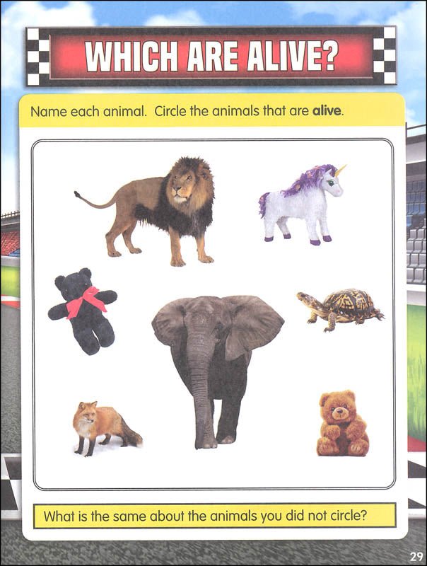 Practice to Learn - Matching, Sorting and Graphing – Prepp'd Kids